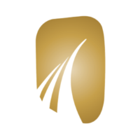 Contact | Gaisce | President’s Award