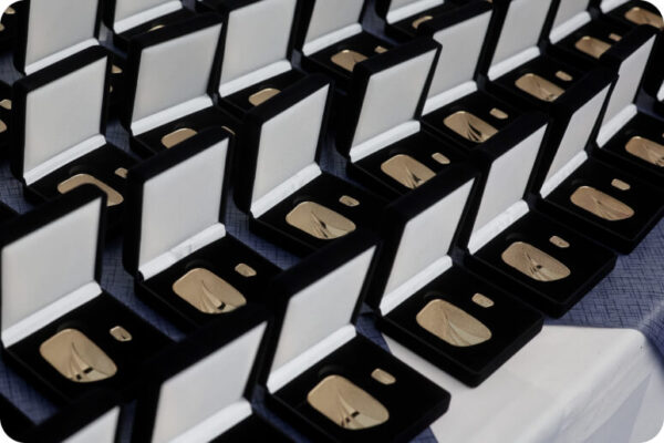 Award Levels - Gaisce